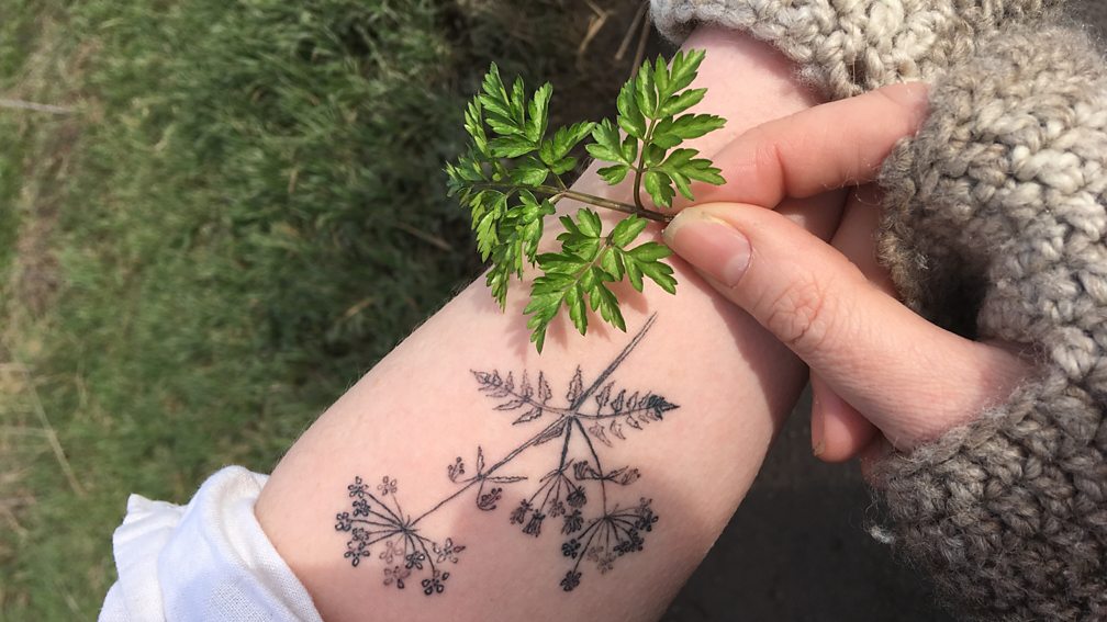 BBC Radio 4 - Ramblings, Series 41, A Cow Parsley Tattoo - Cambridgeshire