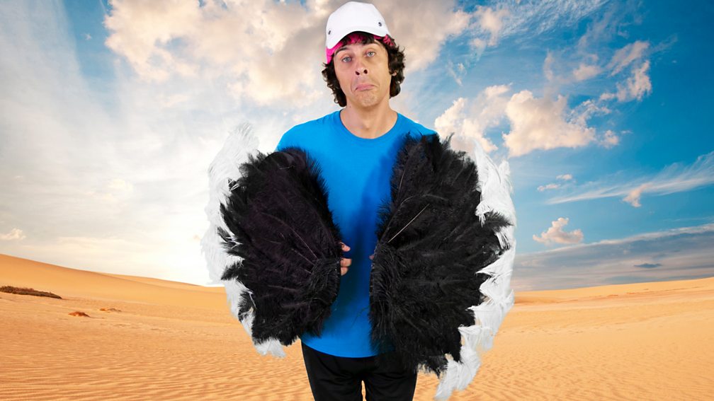 CBeebies - Andy's Wild Workouts - Episode guide