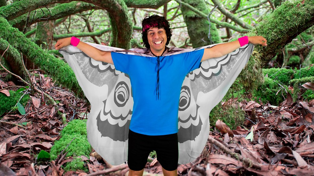 CBeebies - Andy's Wild Workouts - Episode guide