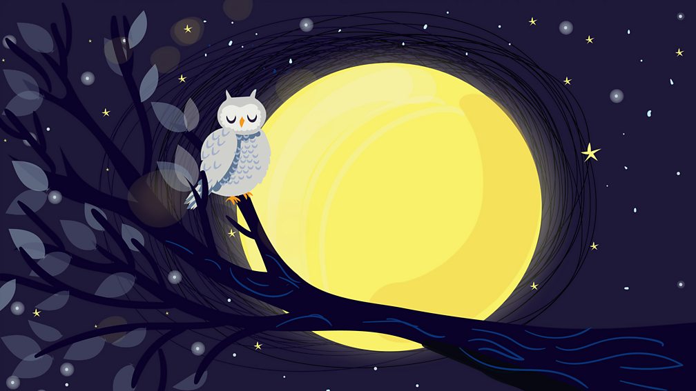 CBeebies Radio - The Lingo Show - Episode guide