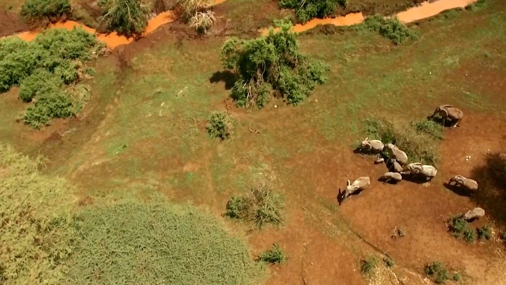 BBC One - Earth from Space