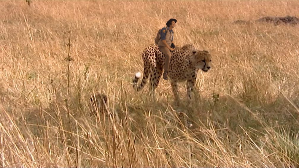 CBeebies Radio - Andy’s Sound Adventures, African Savannah