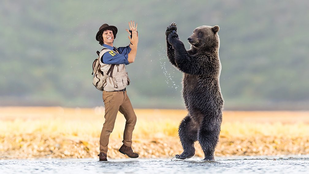 CBeebies - Numberjacks - Episode guide