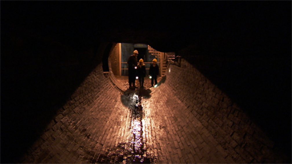 BBC Two - Curious Cat