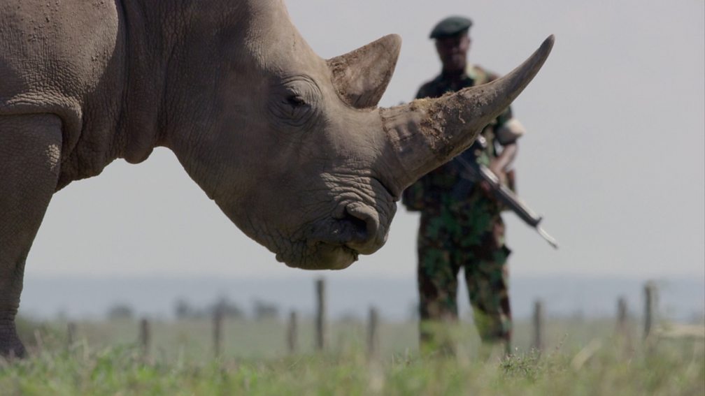 BBC One - Seven Worlds, One Planet