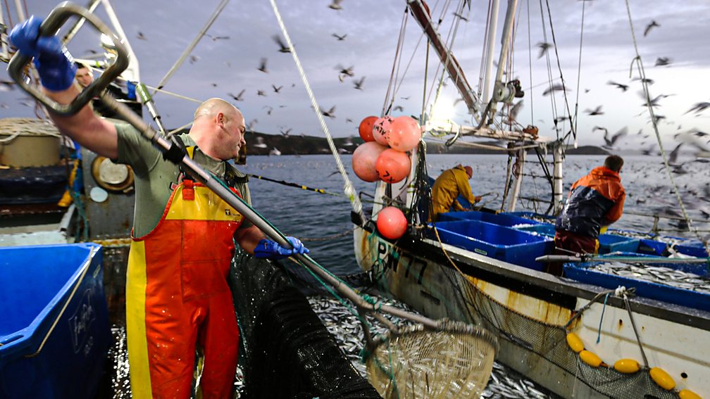 BBC Two - Cornwall: This Fishing Life - Episode guide