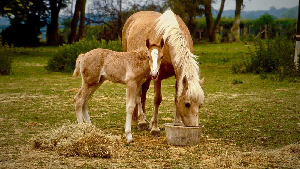 BBC Radio 4 - In Our Time - Episode guide