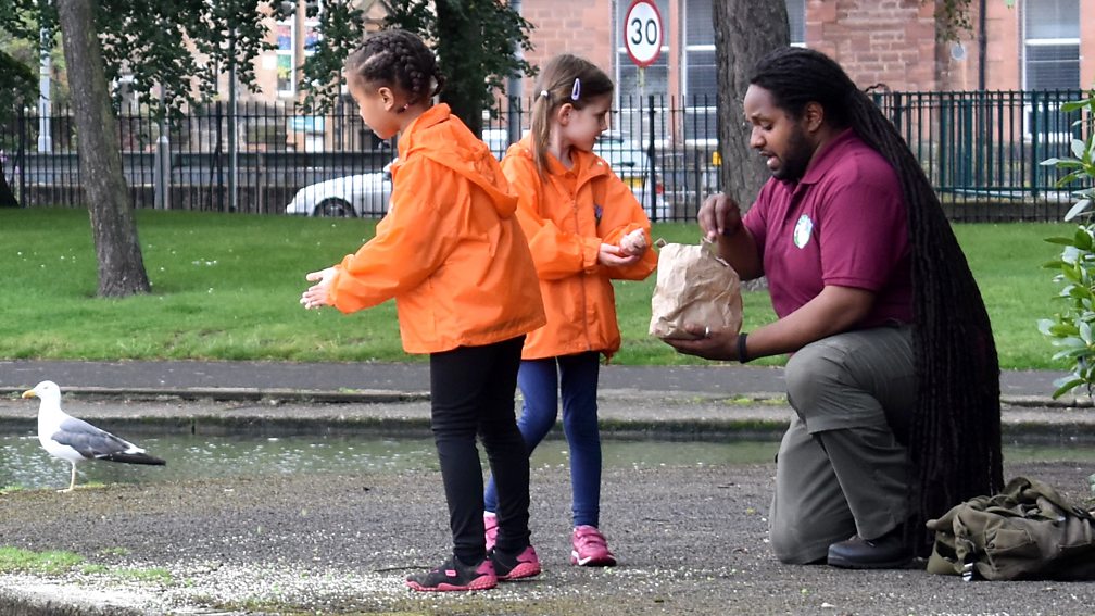 CBeebies - Let's Go for a Walk, Series 1