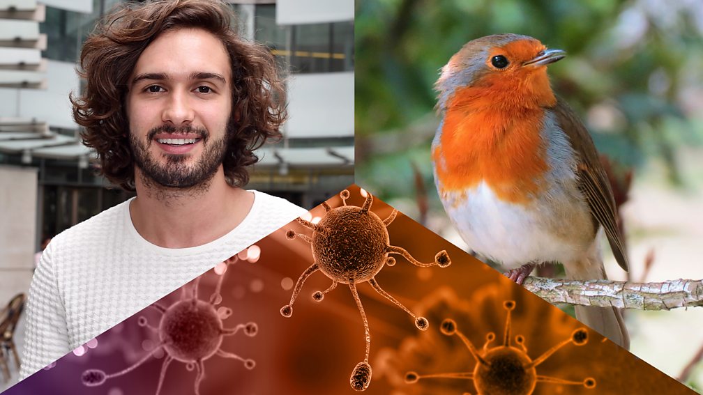 BBC Radio 4 - More or Less