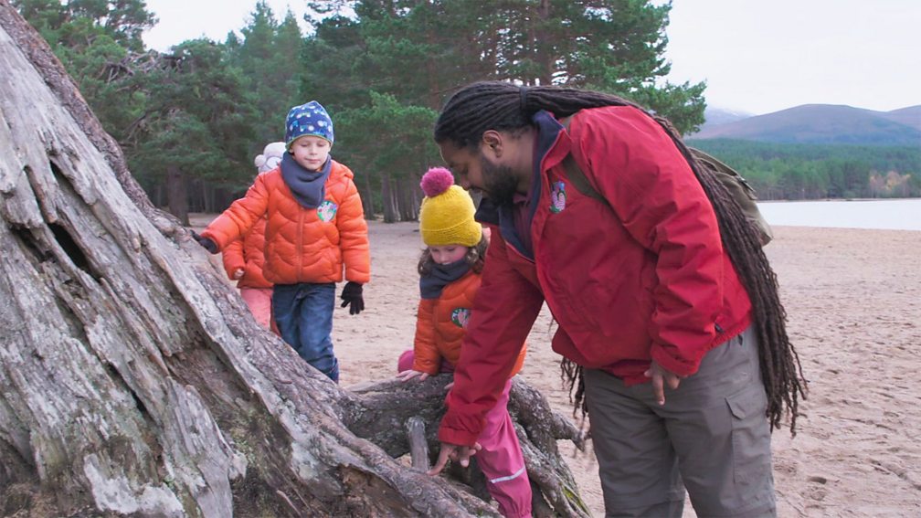CBeebies - Let's Go for a Walk - Available now