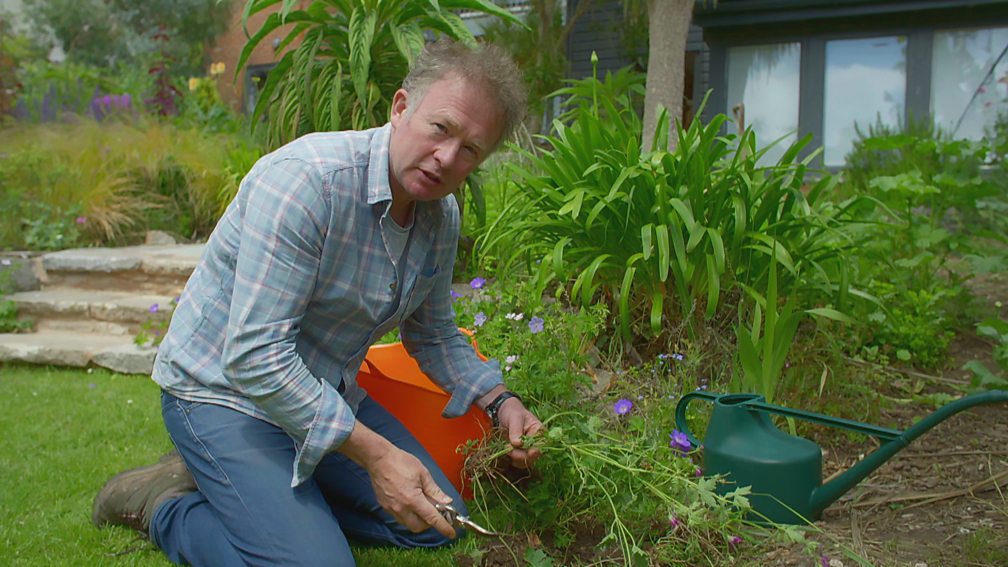 BBC Two - Gardeners' World, 2020, Episode 18, Dave Goulson