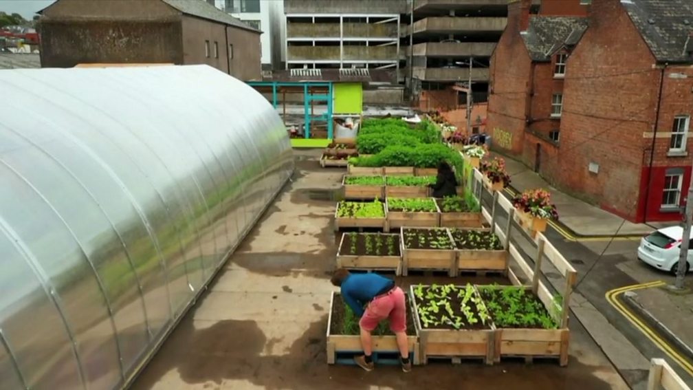 BBC One - Gardening Together with Diarmuid Gavin