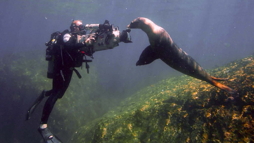 BBC Two - Oceans