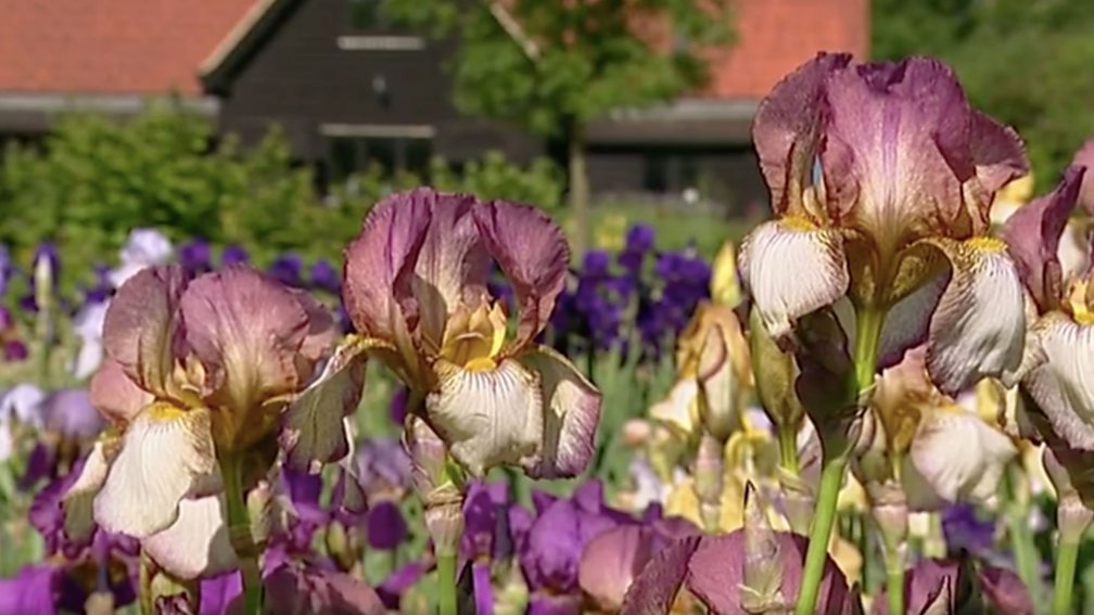 BBC Two - The A to Z of TV Gardening, Original Series