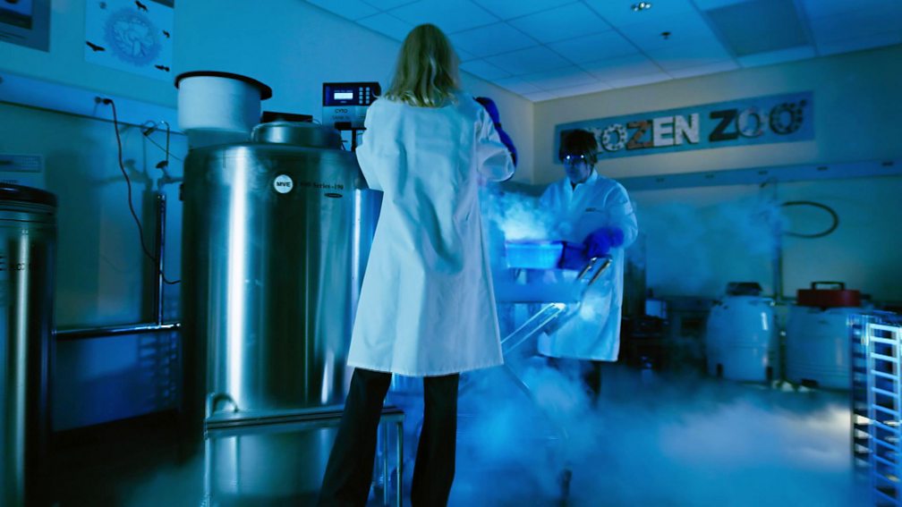 BBC One - A Perfect Planet