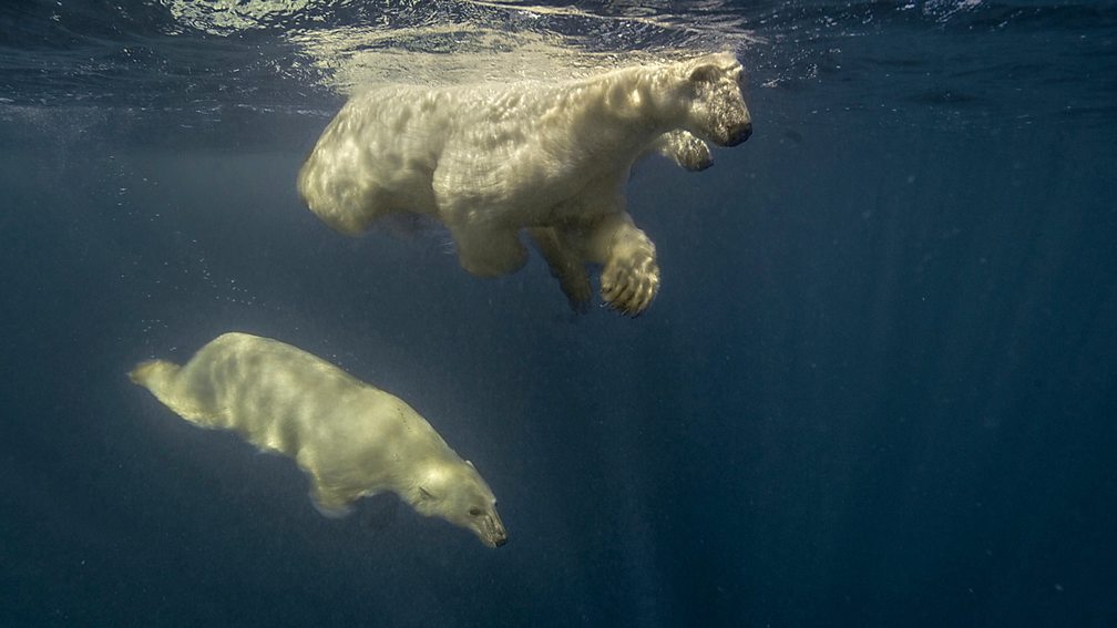 BBC World Service - Outlook