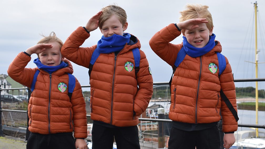 CBeebies - Let's Go for a Walk - Episode guide