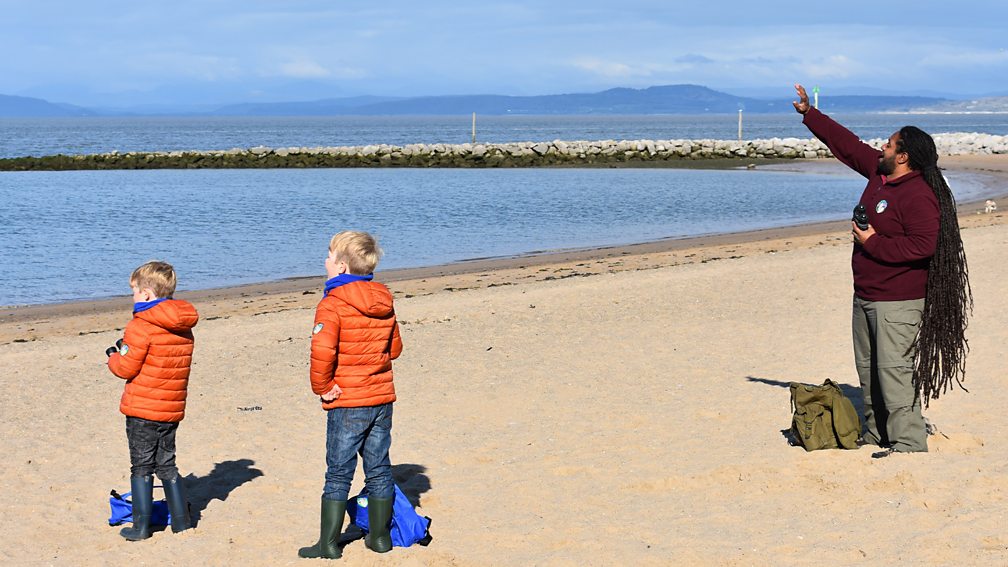 CBeebies - Let's Go for a Walk - Available now