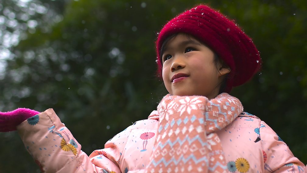 CBeebies - Daydreams - Available now