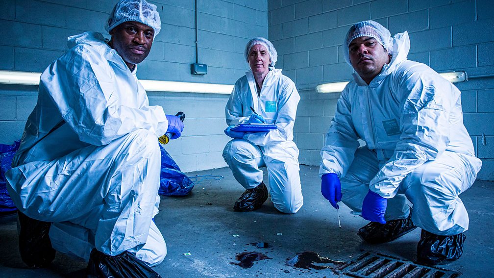 BBC Two - Forensics: The Real CSI, Series 2 - Available now