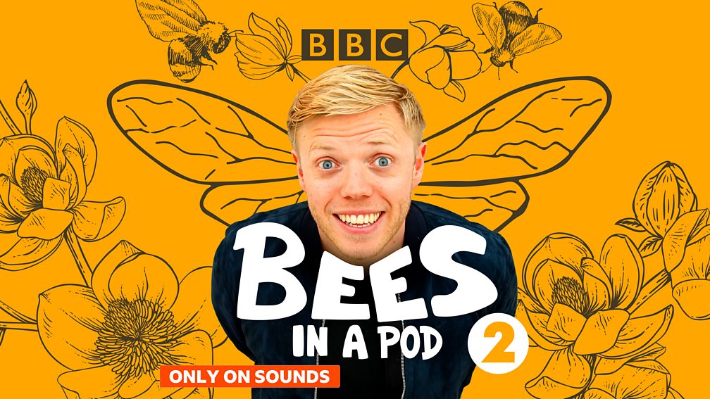 BBC Radio 2 - Radio 2's Big Bee Challenge