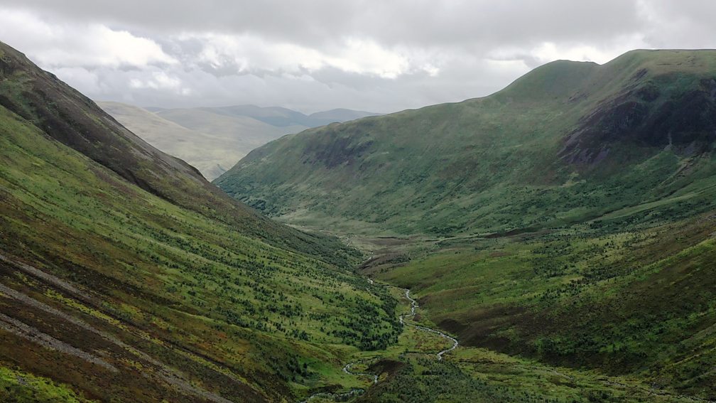 BBC Scotland - Roaming in the Wild