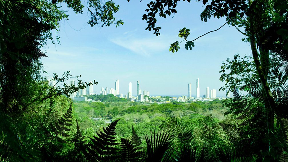 BBC Four - Restoring the Earth: The Age of Nature