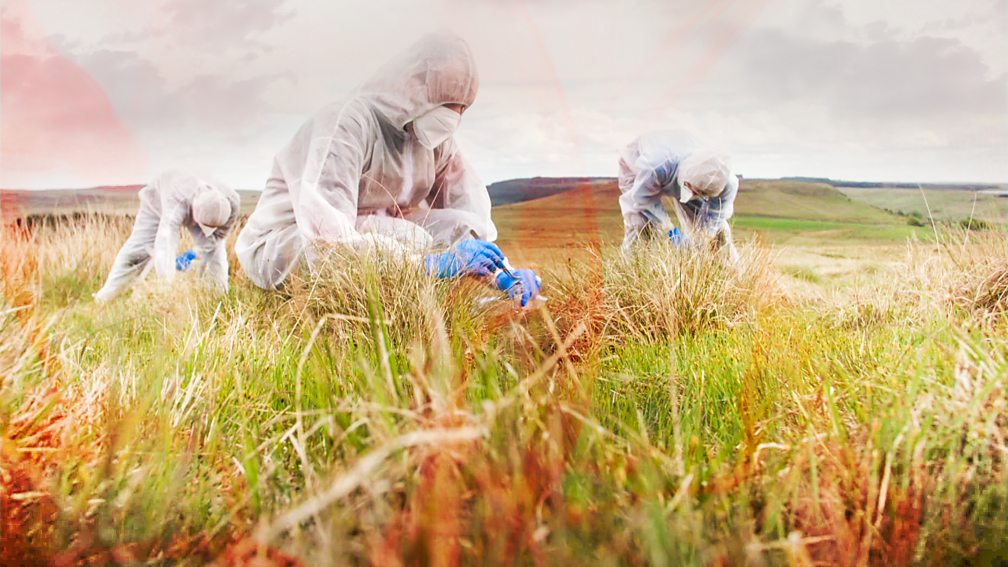 BBC - Programmes categorised as Factual: Crime & Justice: True Crime ...