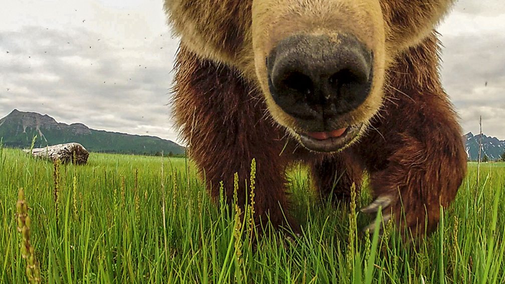 BBC Two - My Life, My Religion - Episode guide