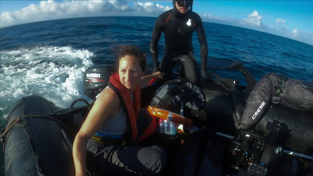 BBC One - Wonders of the Celtic Deep