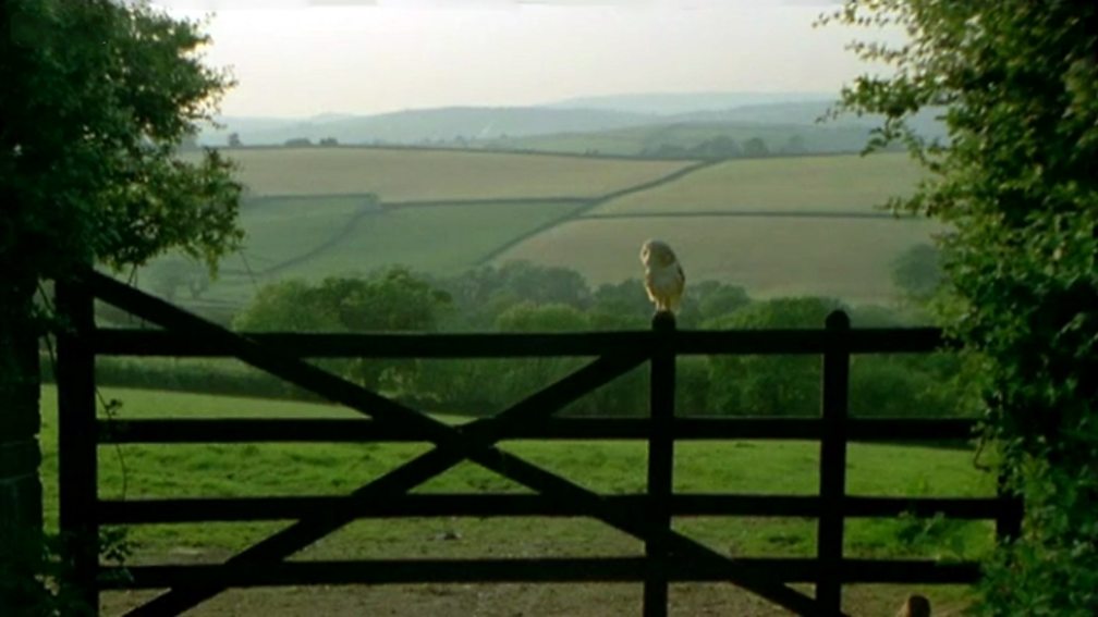 CBeebies - Our Planet