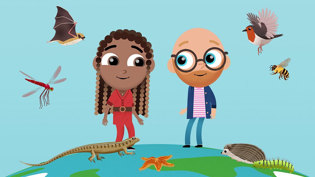 CBeebies - Teeny Tiny Creatures