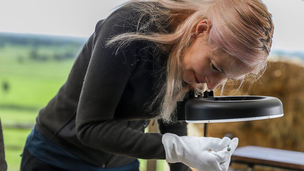 BBC Two - Digging for Britain