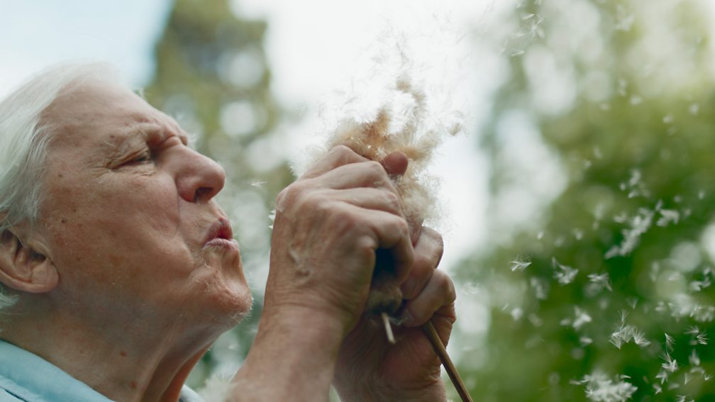 BBC One - The Green Planet