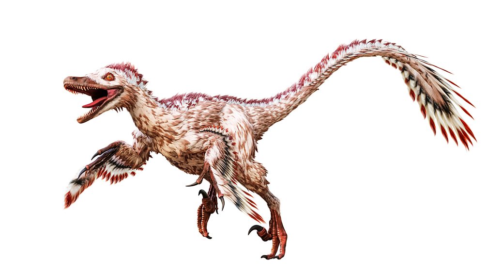 BBC Radio 4 - The Life Scientific