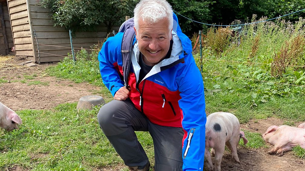 BBC One - Weatherman Walking