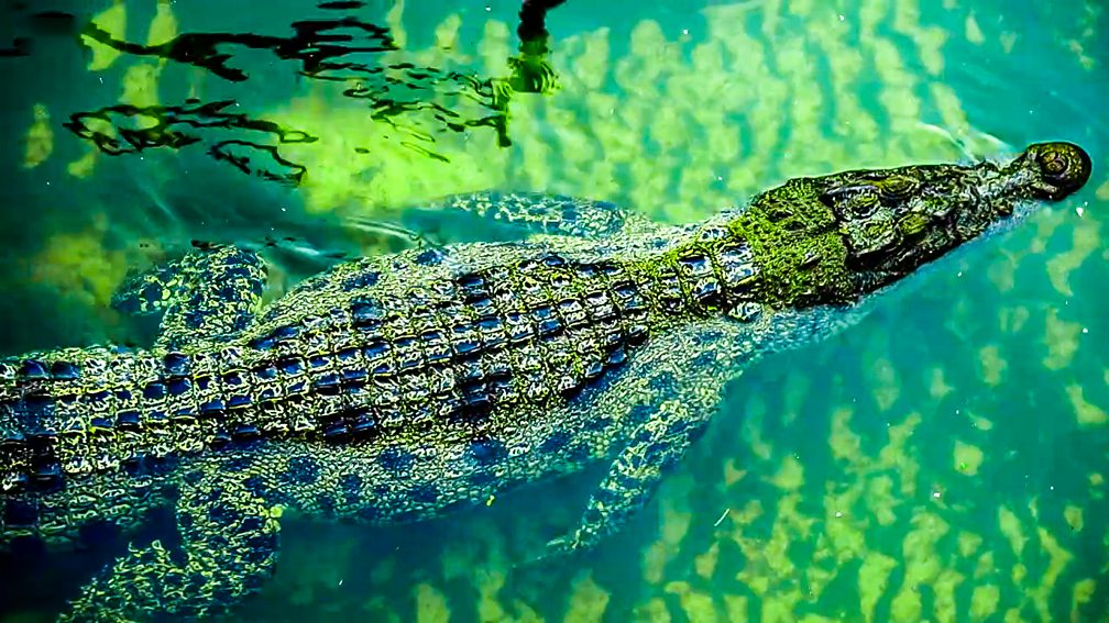 CBeebies - Colours - Episode guide