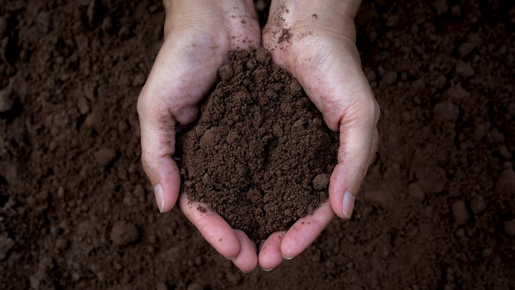 BBC Radio 4 - The Life Scientific