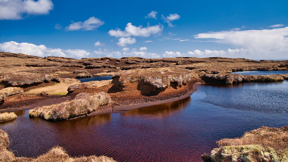 BBC Radio 4 - The Life Scientific