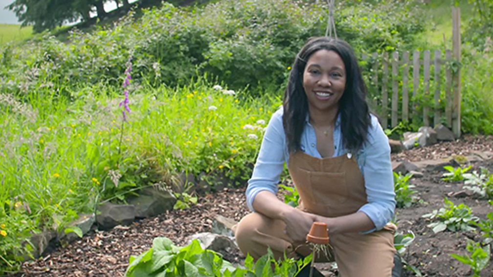 BBC Scotland - Beechgrove Garden
