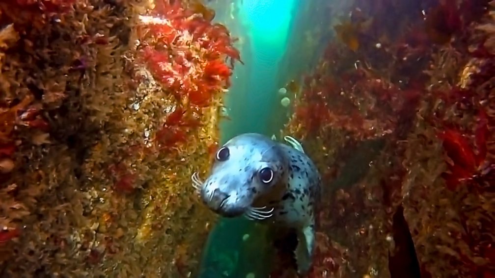 BBC One - Countryfile