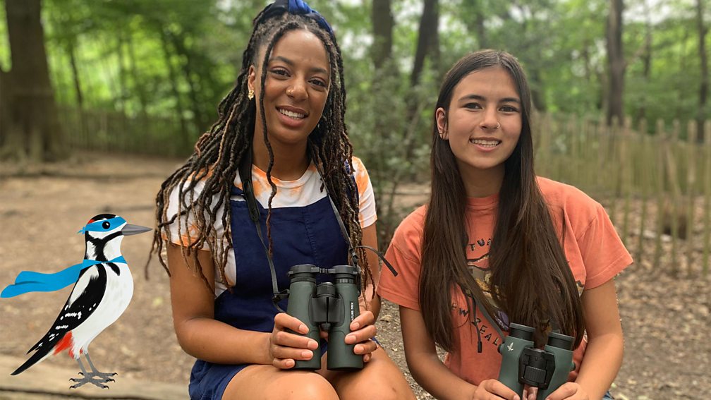 CBeebies - Teeny Tiny Creatures - Episode guide