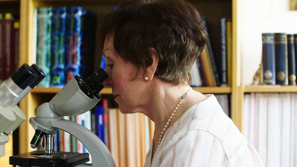 BBC One - Expert Witness