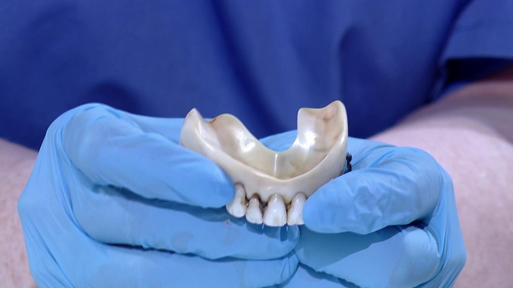 BBC Four - Royal Institution Christmas Lectures