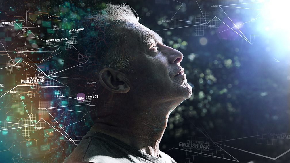 BBC Two - Inside Our Autistic Minds
