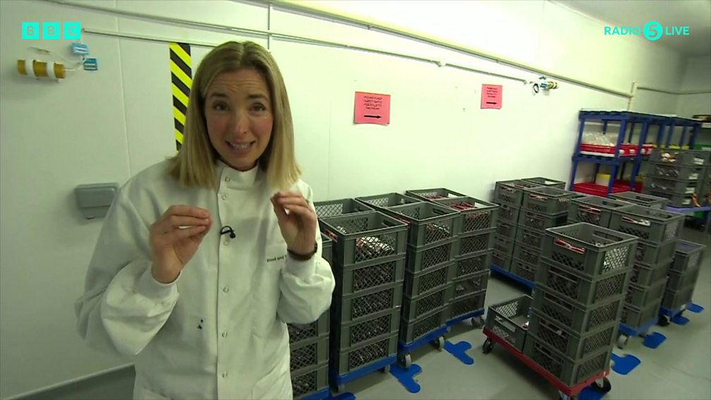 BBC Radio 5 Live - In Short, Sarah Hunter on MBE: 'Rugby is a team sport'
