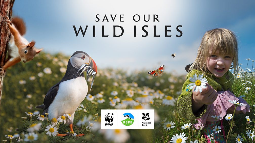 BBC One - Wild Isles