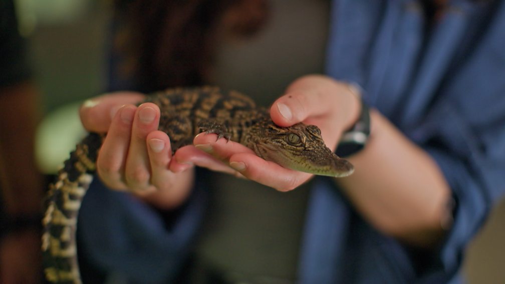 BBC One - Our Changing Planet, Series 2