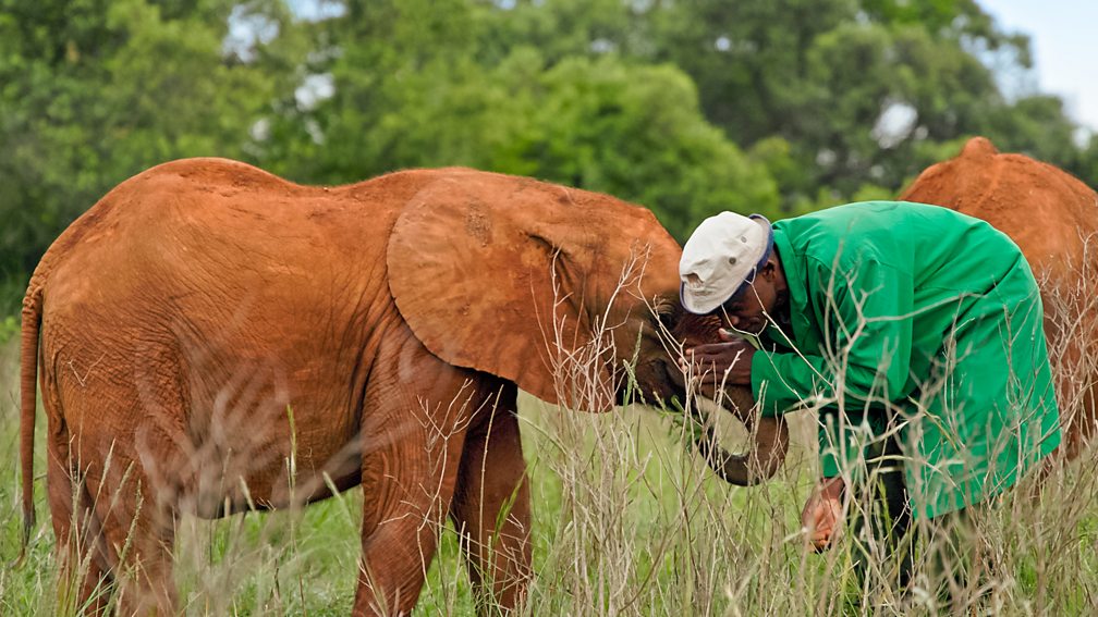 BBC One - Our Changing Planet, Series 2