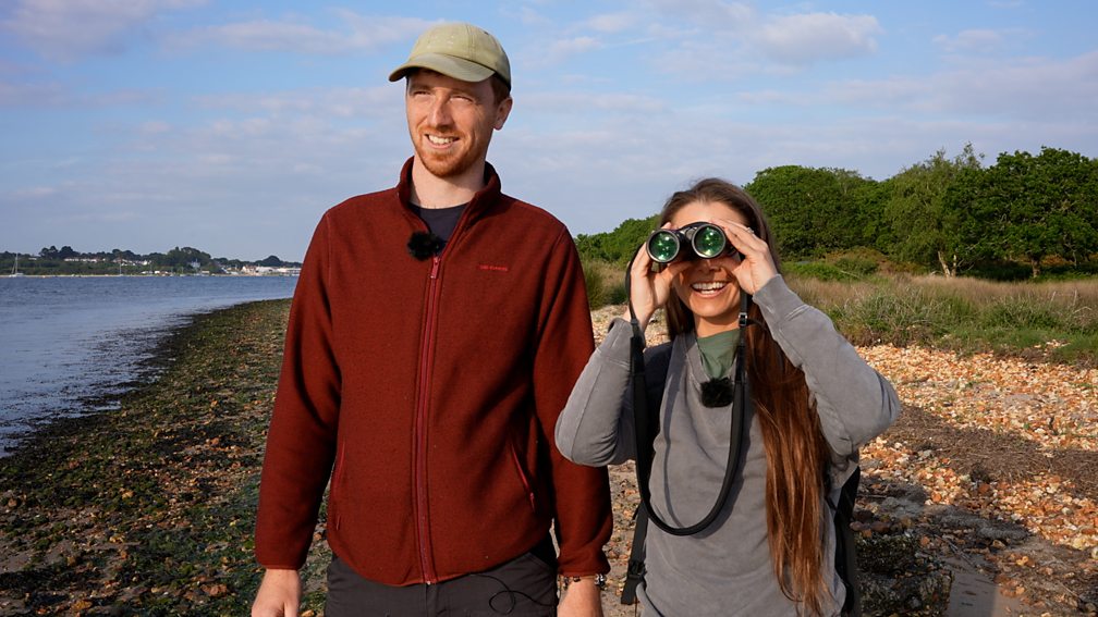 BBC Two - Springwatch, Hannah Stitfall and Jack Baddams go in search of swifts